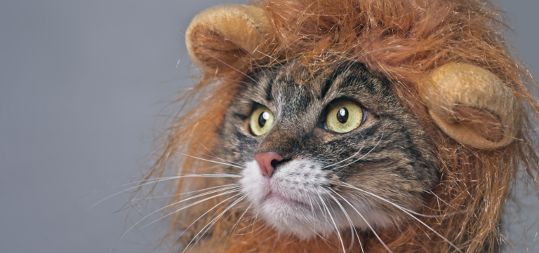 6 Tipps, wie du das Hochstapler-Syndrom überwindest